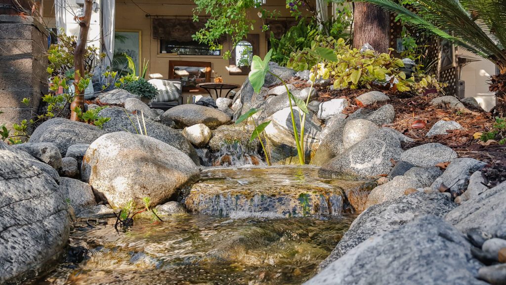 So Cal Ponds - Los Angeles Landscape Design Contractor