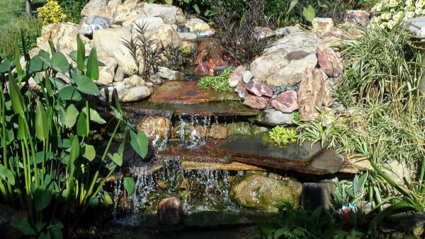 So Cal Ponds - Los Angeles Landscape Design Contractor